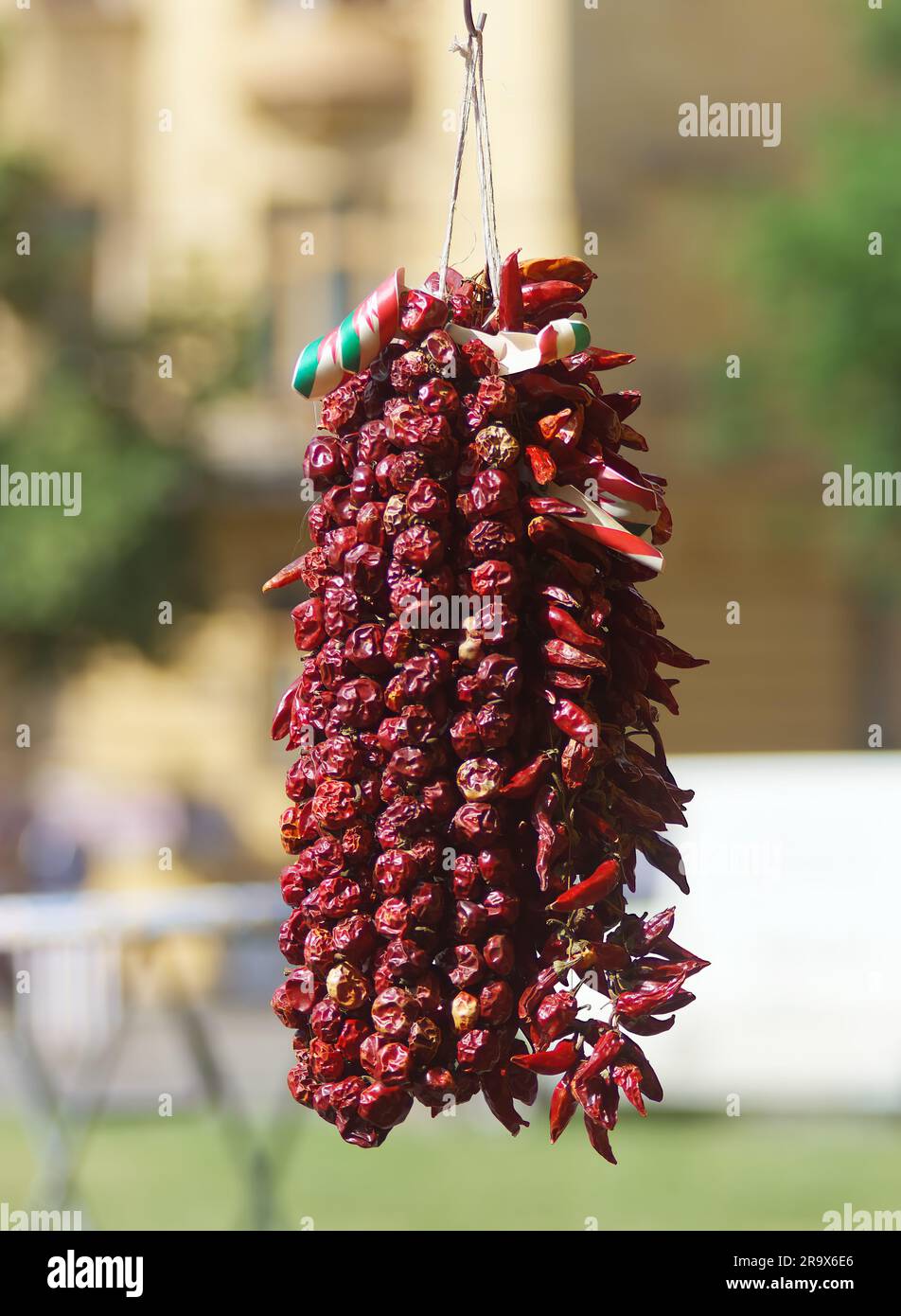 Bunch of chillies hi-res stock photography and images - Alamy