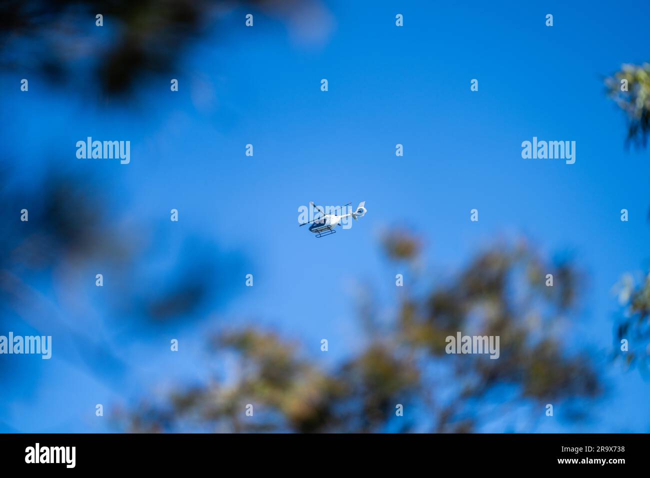 helicopter flying over the australian bush in nsw australia Stock Photo ...