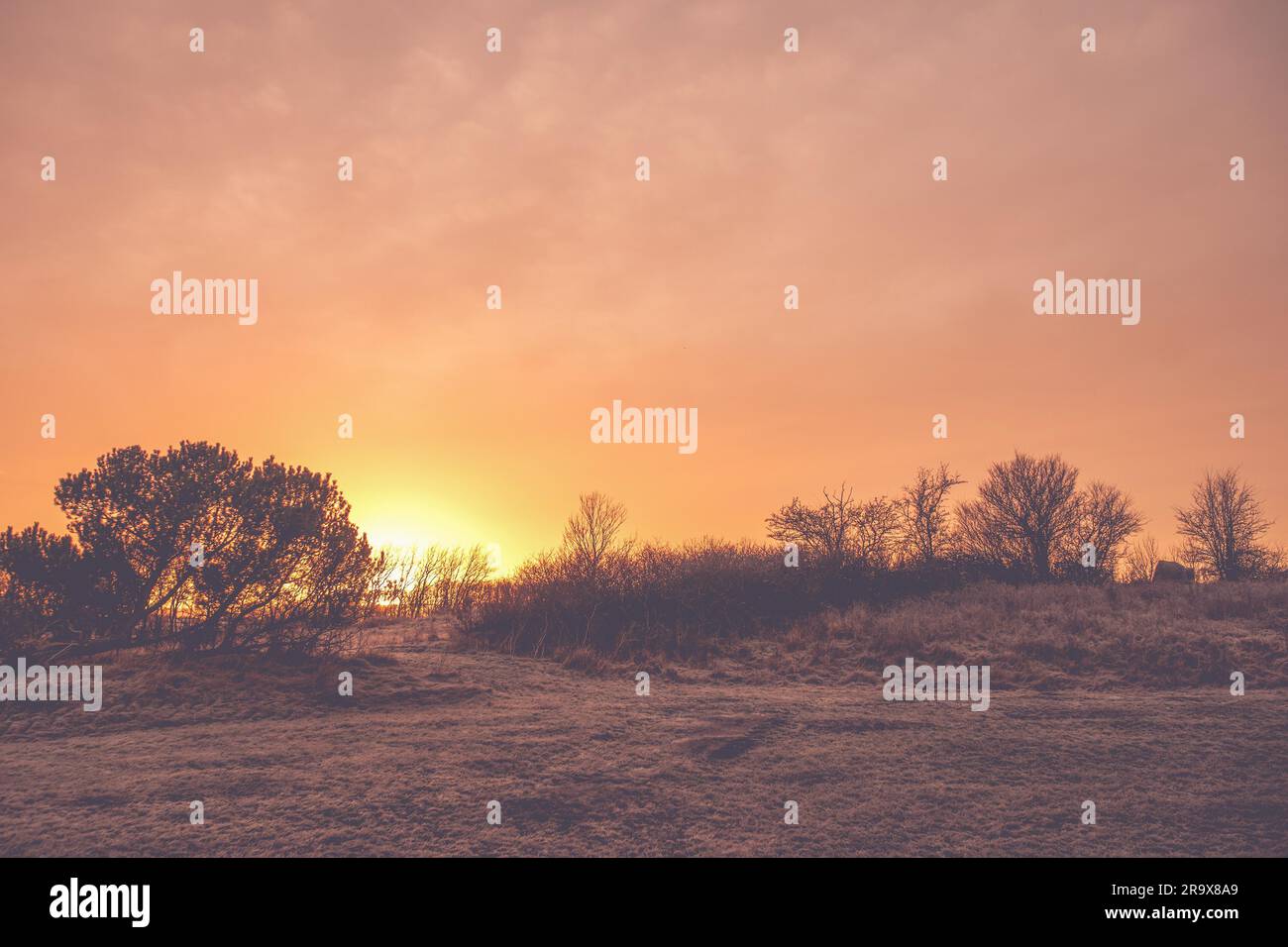 Dawn sky countryside hi-res stock photography and images - Alamy