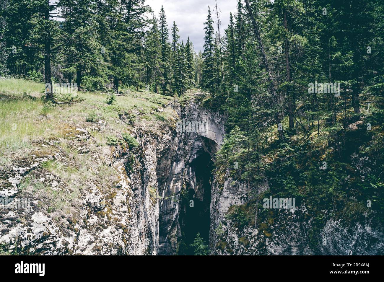 Large cave in a pine tree forest in daylight Stock Photo - Alamy