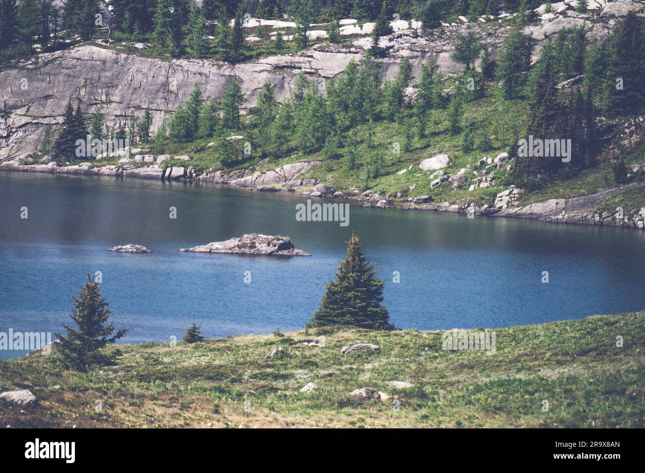 Mountain pine trees lake hi-res stock photography and images - Alamy