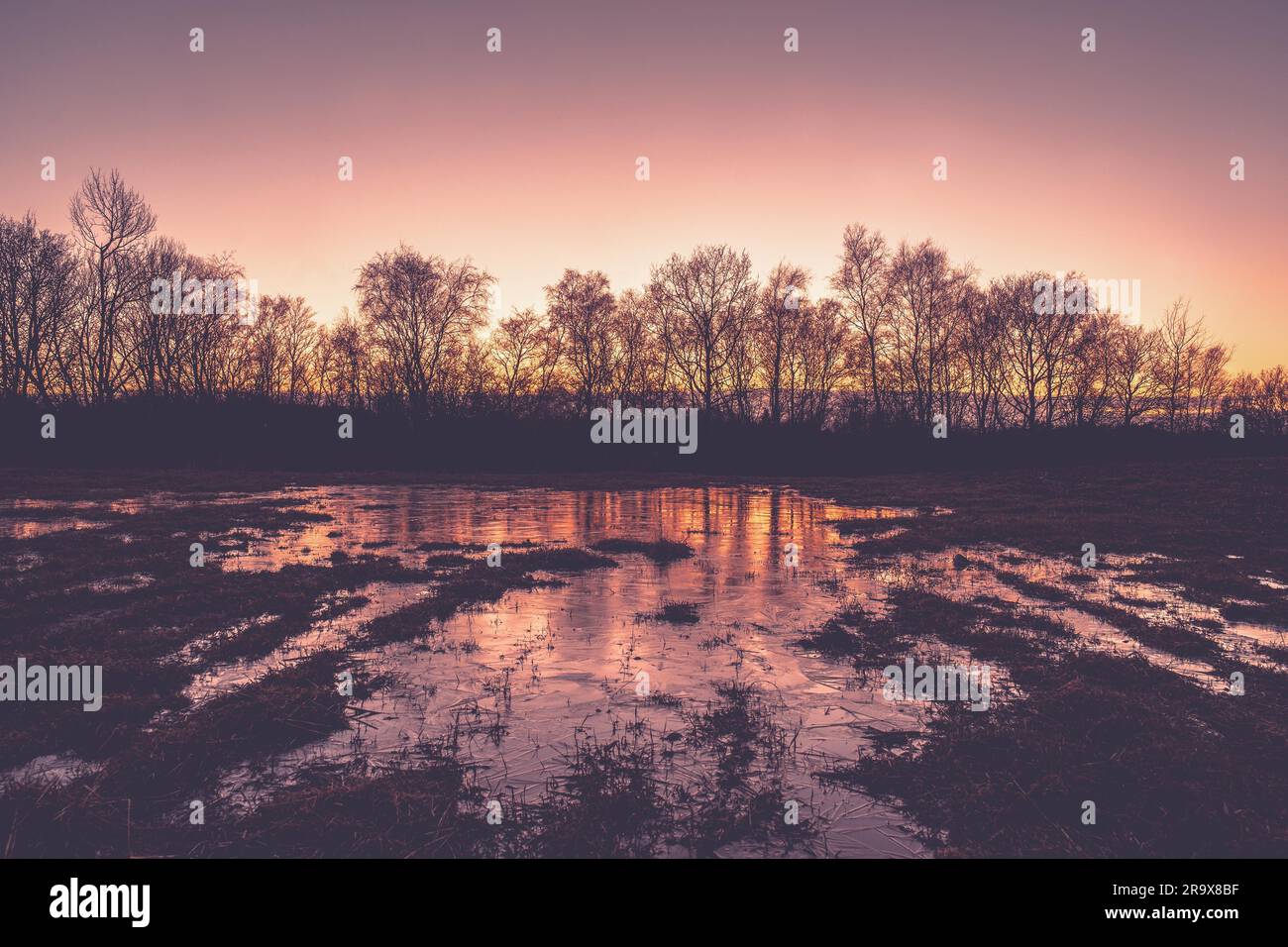 Frozen setting hi-res stock photography and images - Alamy