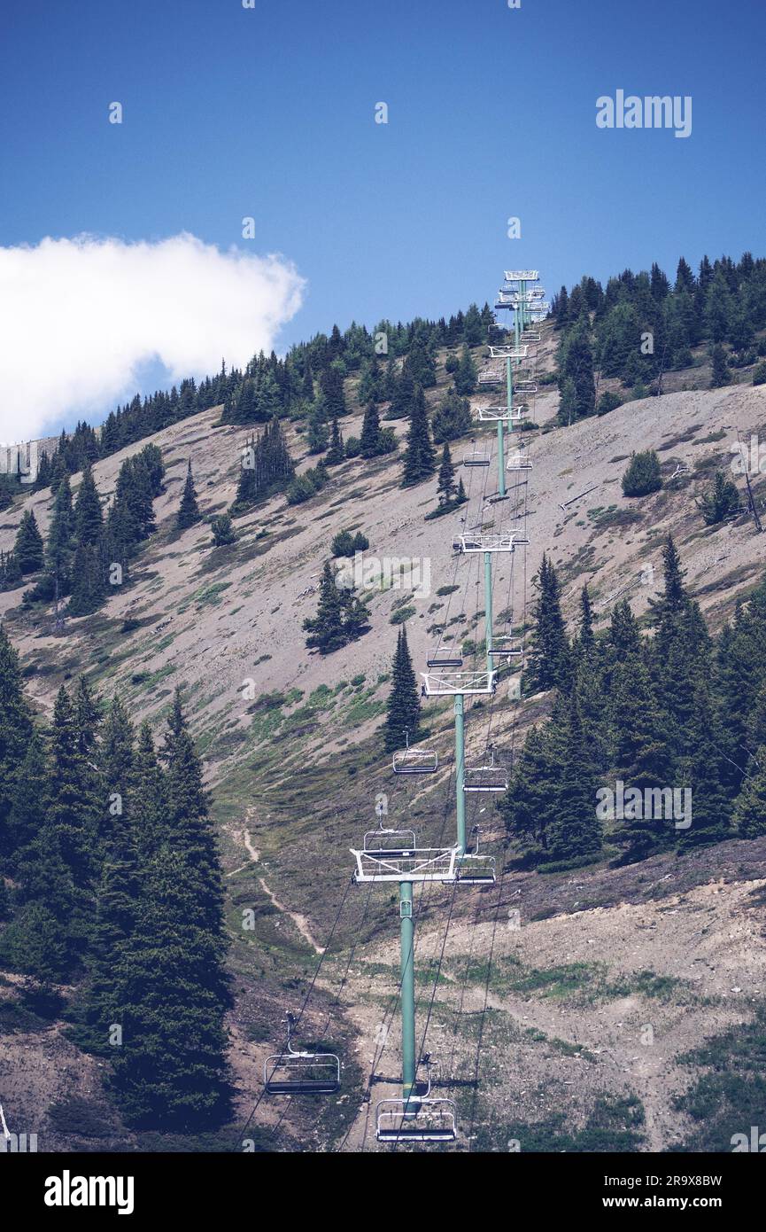 Mountain lift on a hill with pine trees Stock Photo - Alamy