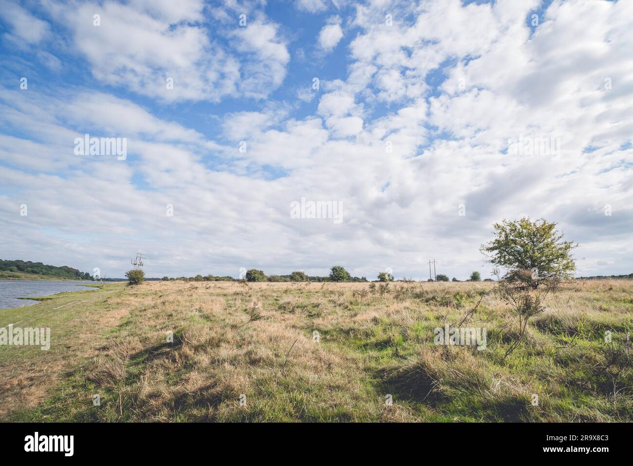Plains with tall grass and blue sky in a countryside Stock Photo - Alamy