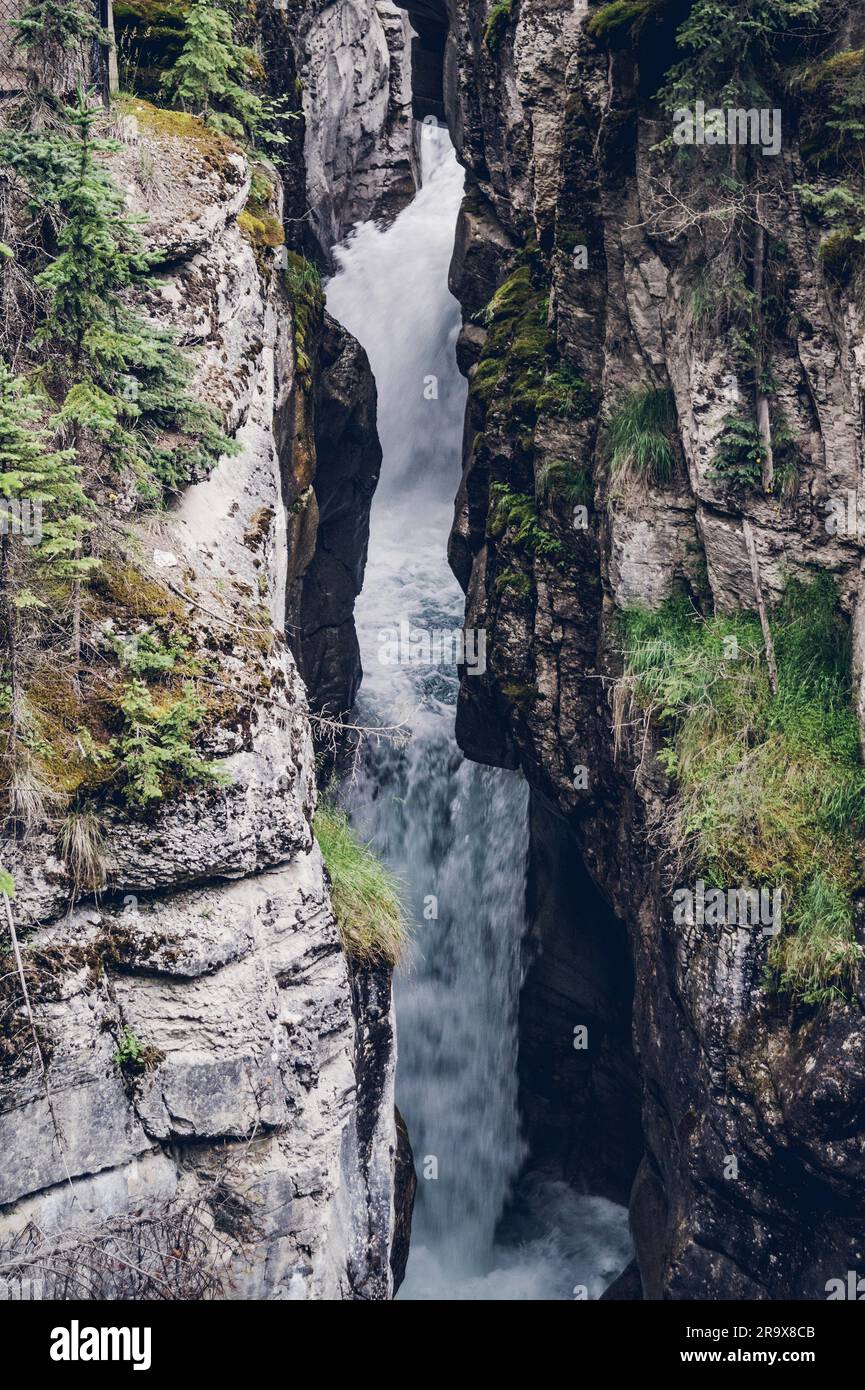 Water stream running down a hillside with trees Stock Photo - Alamy