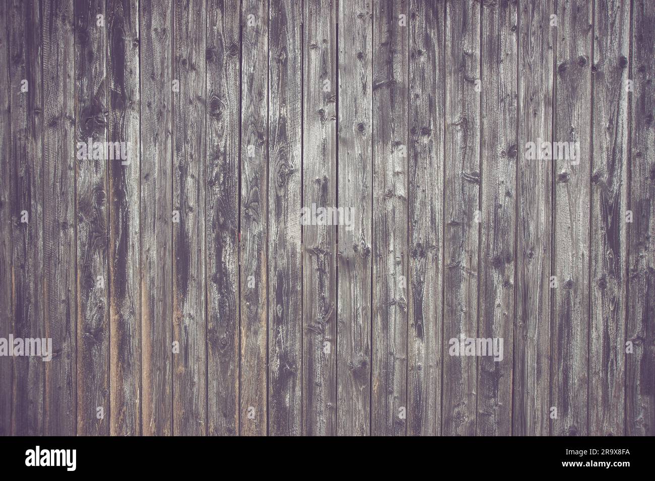 Matte tone hi-res stock photography and images - Alamy