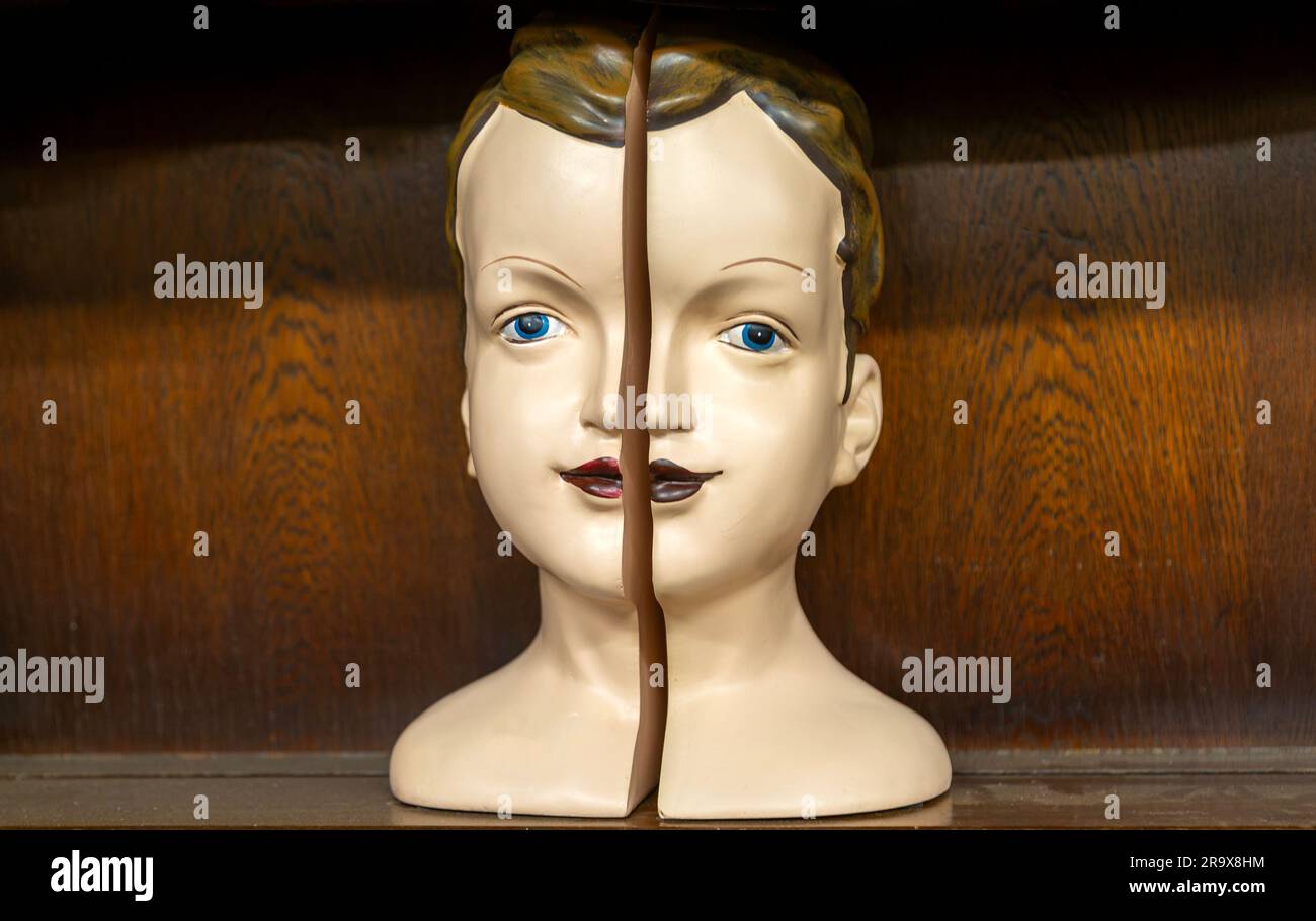 Model of person's head and face split into two parts on display in ...