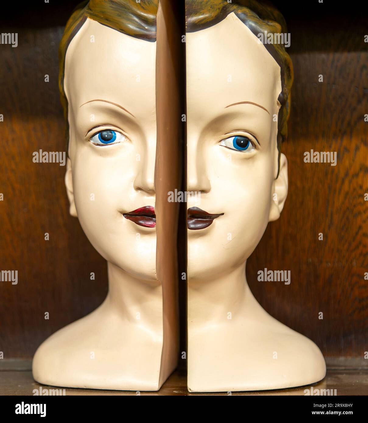 Model of person's head and face split into two parts on display in ...