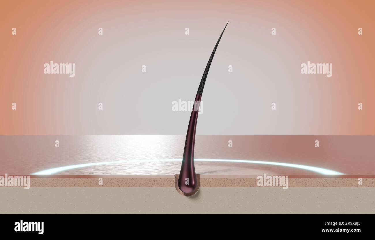 Single hair follicle and round glow - regeneration concept - 3D ...