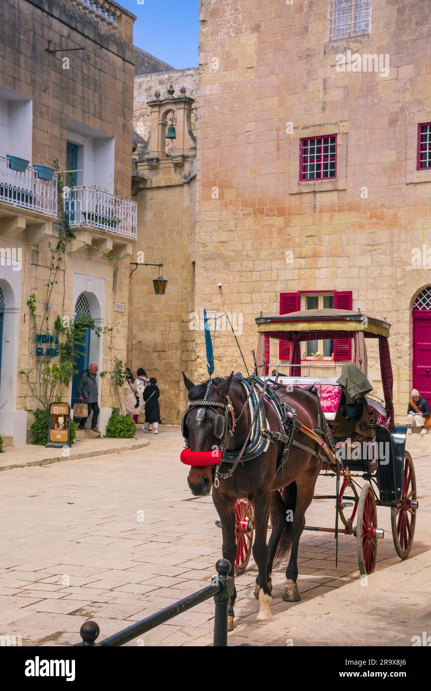 A view of old Mdina street with a traditional Maltese style openwork ...