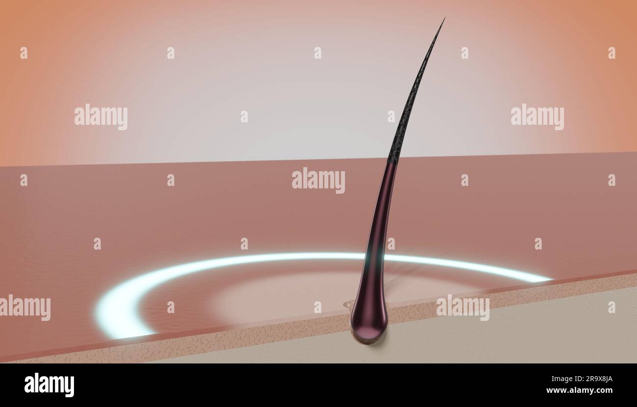 Single hair follicle and round glow - regeneration concept - 3D ...