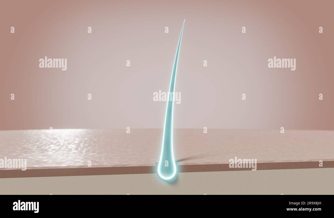 Glowing single hair follicle - regeneration concept - 3D illustration ...