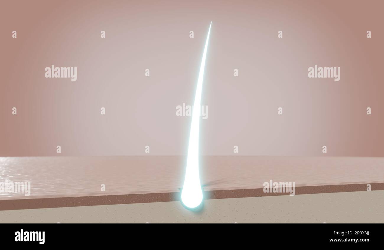Glowing single hair follicle - regeneration concept - 3D illustration ...