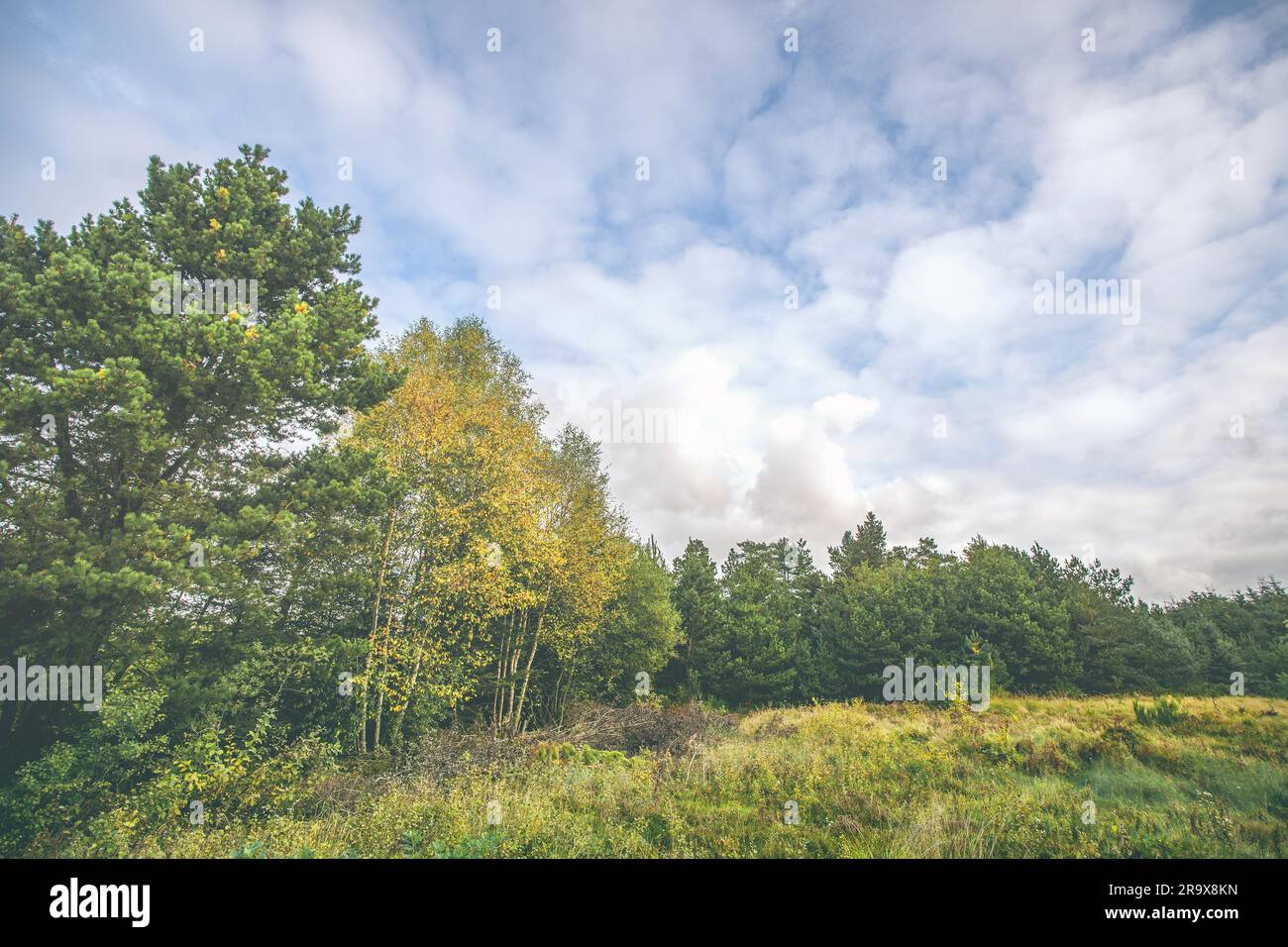 Green and yellow landscape hi-res stock photography and images - Alamy