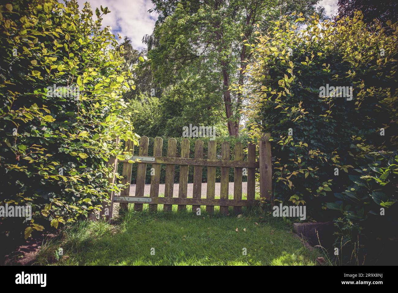 Wooden gate in a green garden in the summer Stock Photo - Alamy