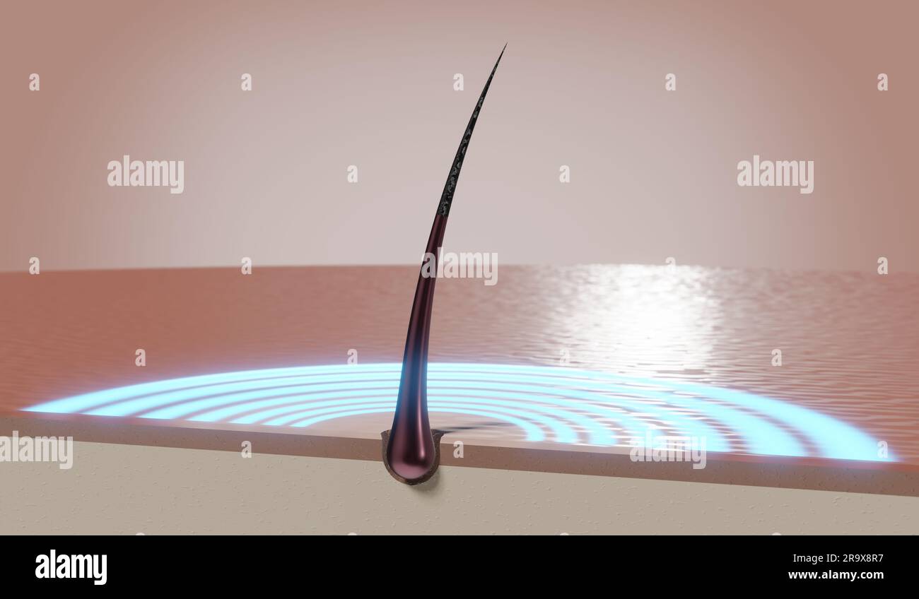 Single hair follicle and round glow - regeneration concept - 3D ...