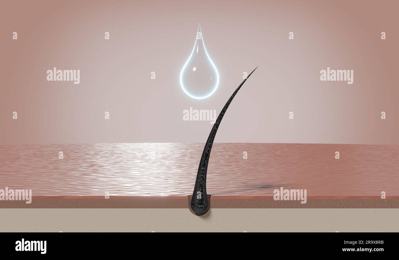 Single hair follicle and drop of cosmetic or shampoo - 3D illustration ...