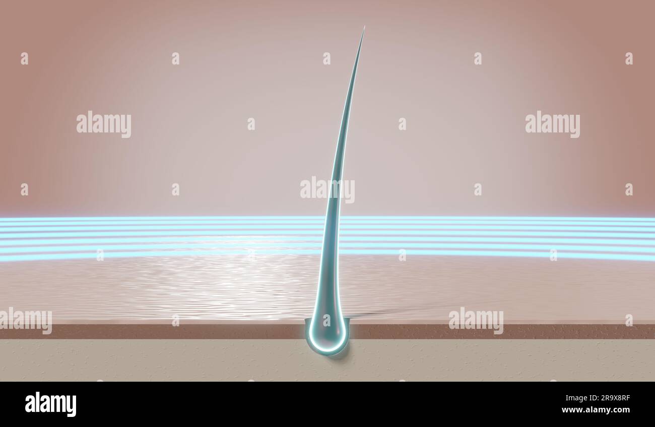 Single hair follicle and glow - regeneration concept - 3D illustration ...
