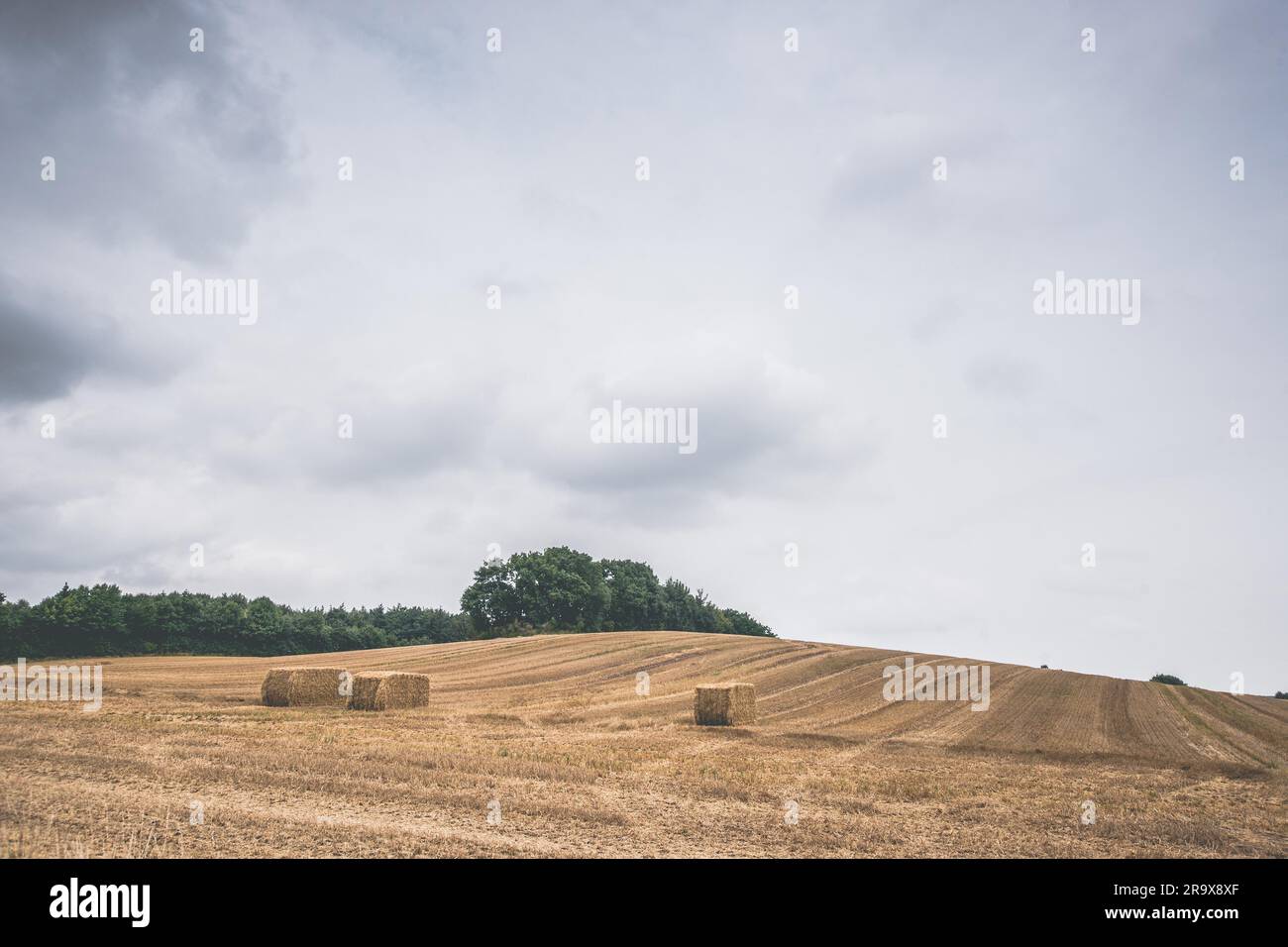 Cloudy weather over a field with hay bales Stock Photo - Alamy