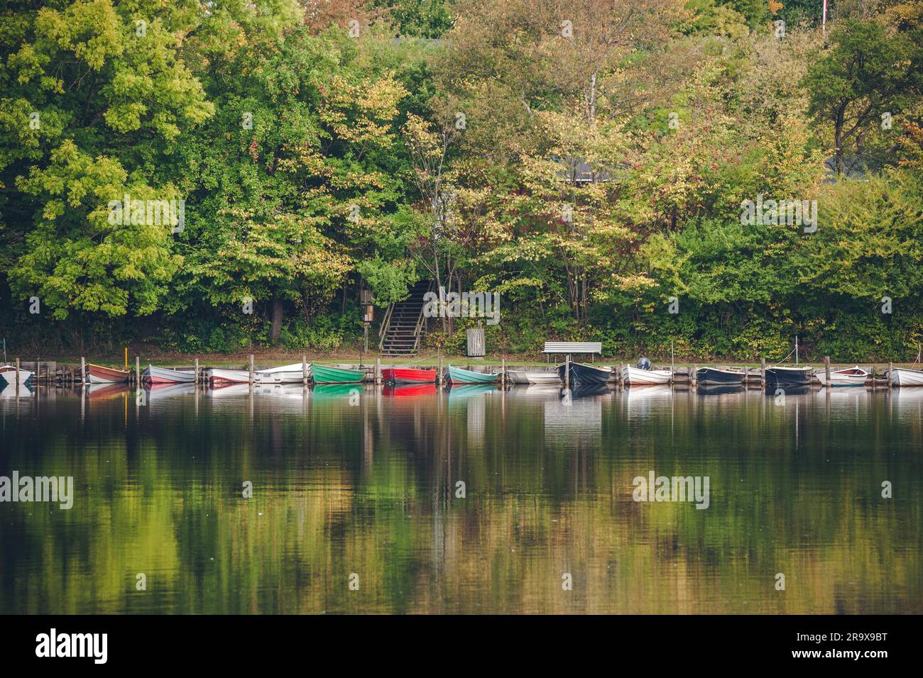 Boats on a row in a lake surrounded by green trees with reflection in ...