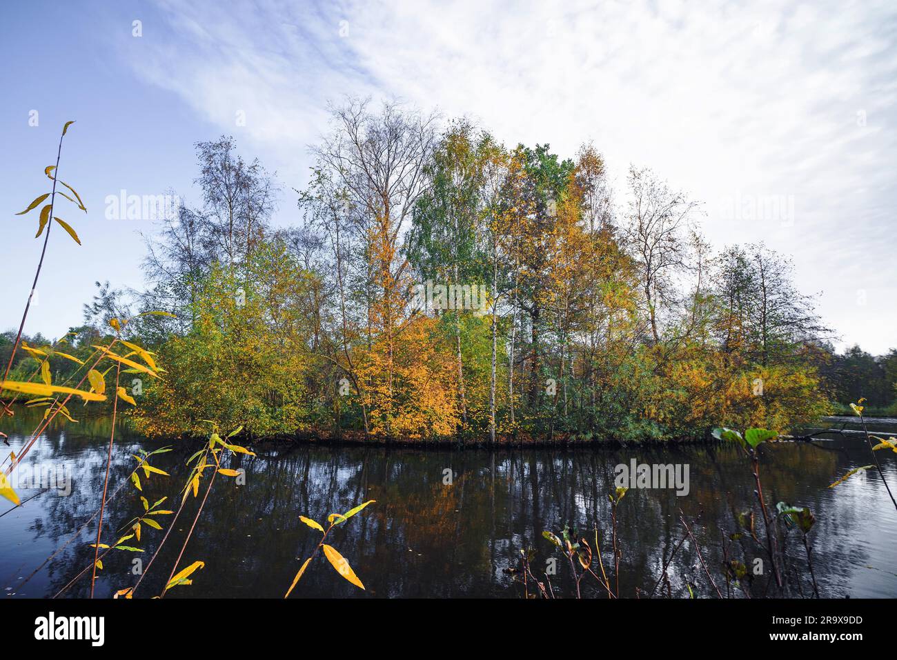 Autumn island with colorful trees in autumn colors in a lake scenery in ...