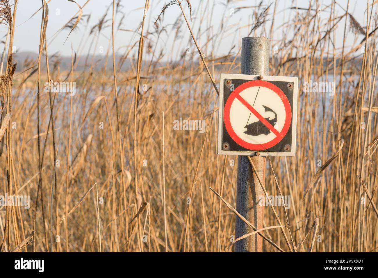 Fishing sign by a river with tall reeds with a caught fishing symbol ...
