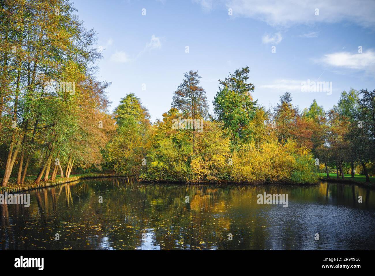 Tree surrounded by water hi-res stock photography and images - Alamy