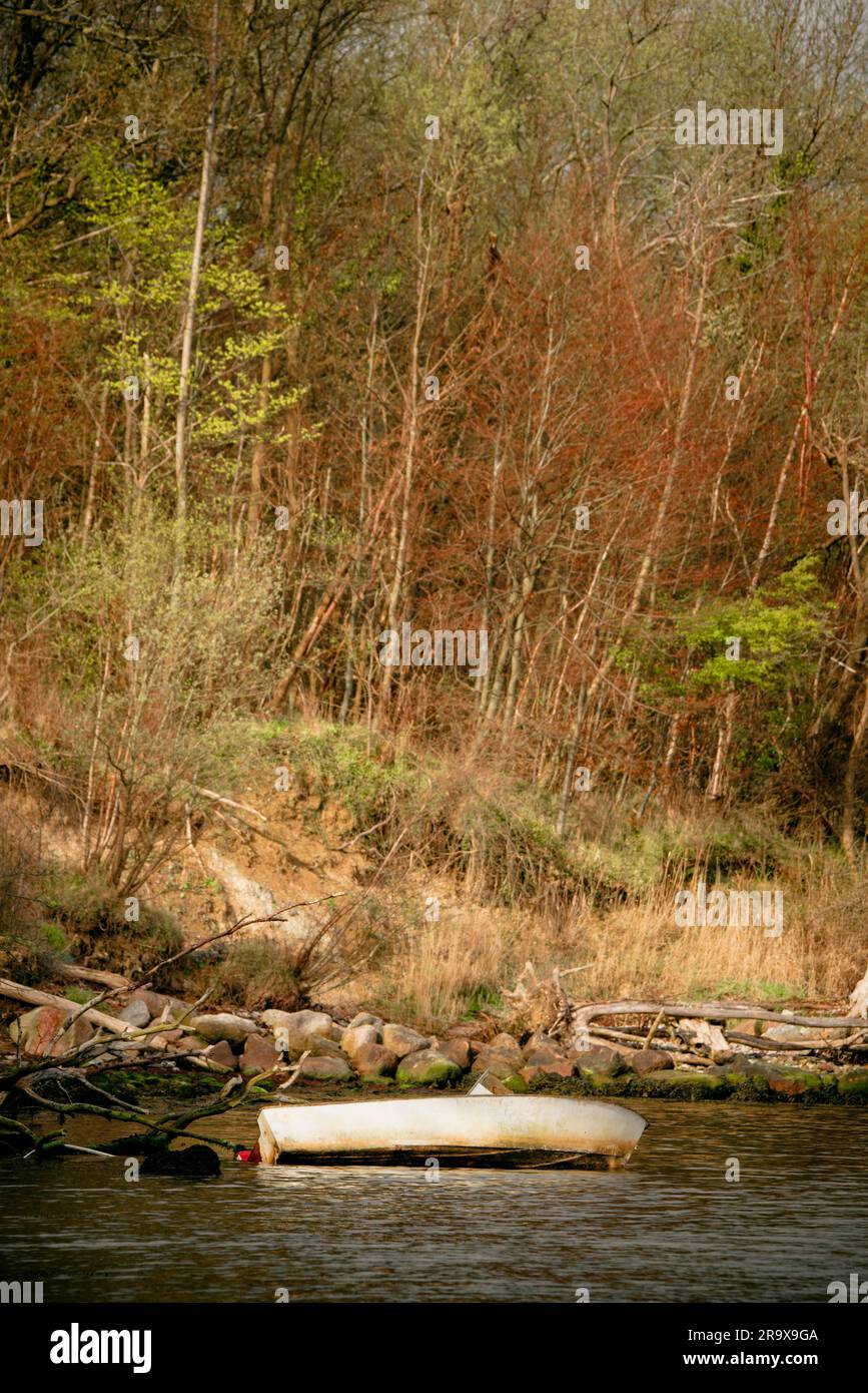 Stranded boat by a lake shore near a forest in the fall Stock Photo - Alamy