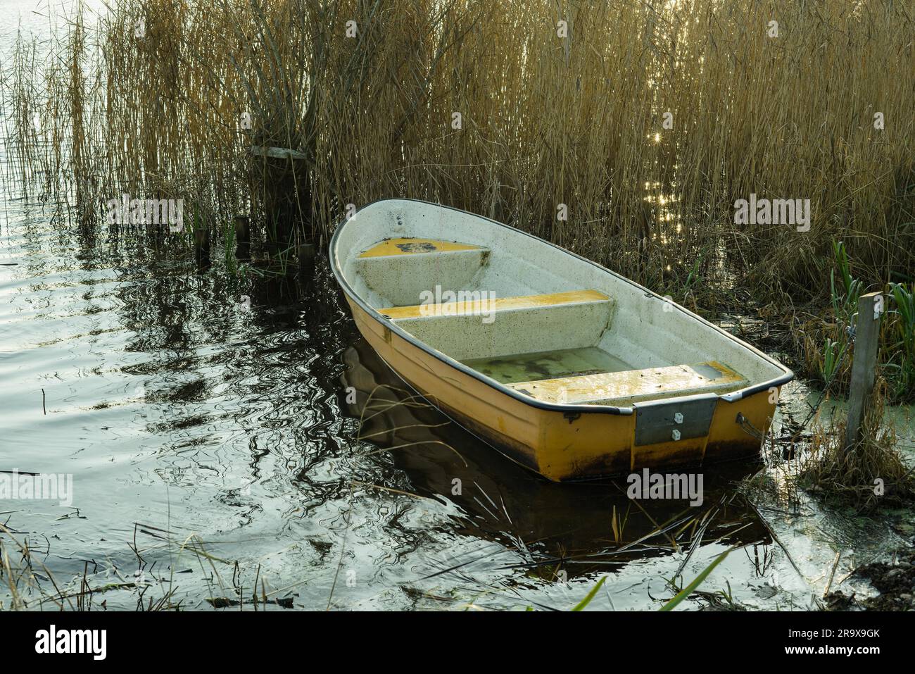 Small boat in a lake in the fall in yellow color with water inside and ...
