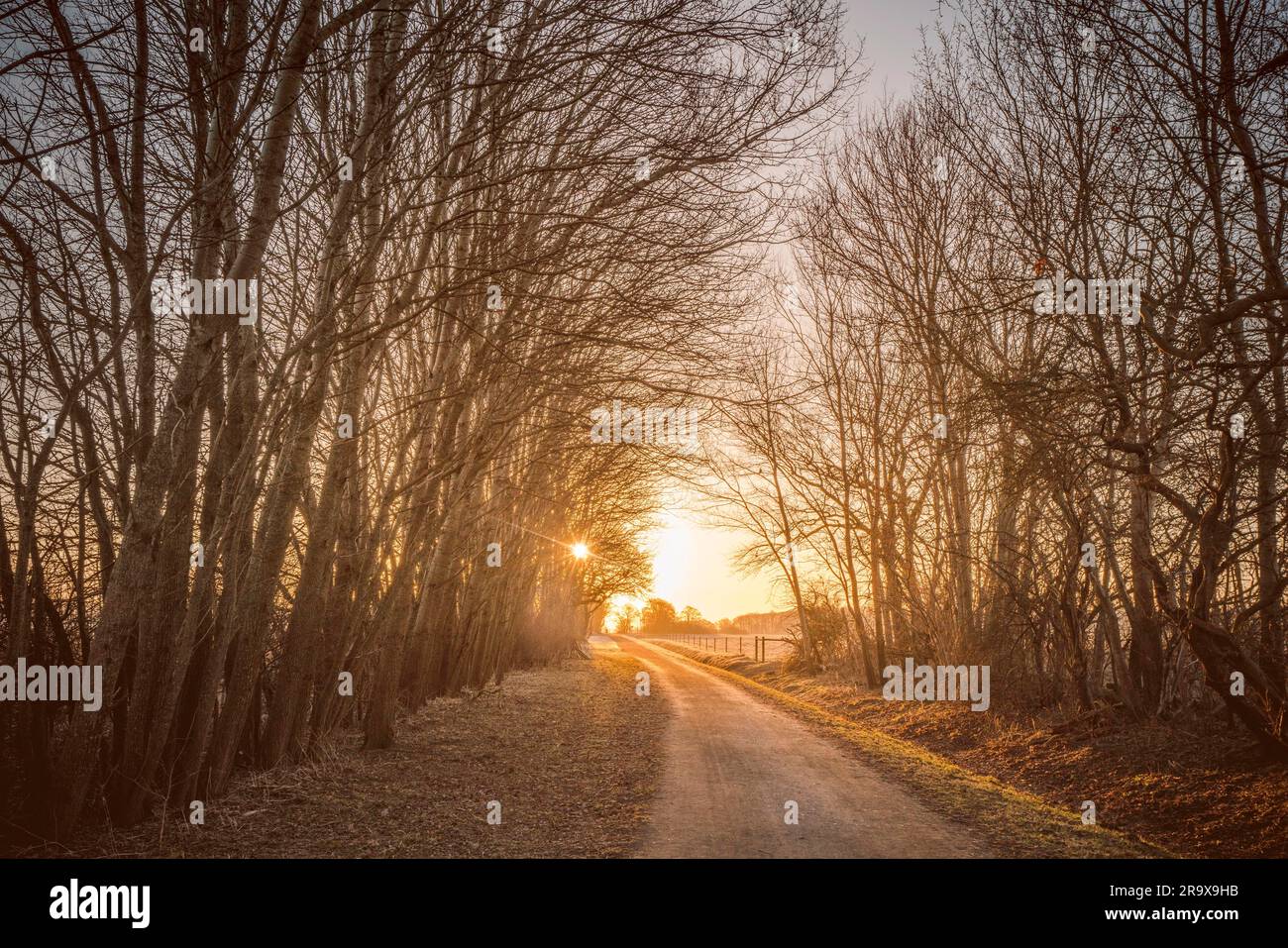 Road into sunrise hi-res stock photography and images - Alamy