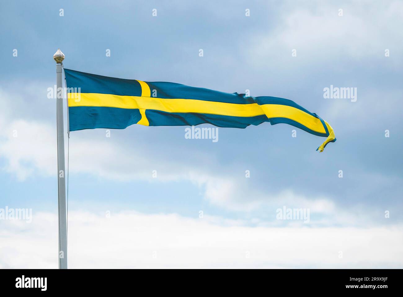 Swedish pennant flag on a flagpole in the wind in blue and yellow ...