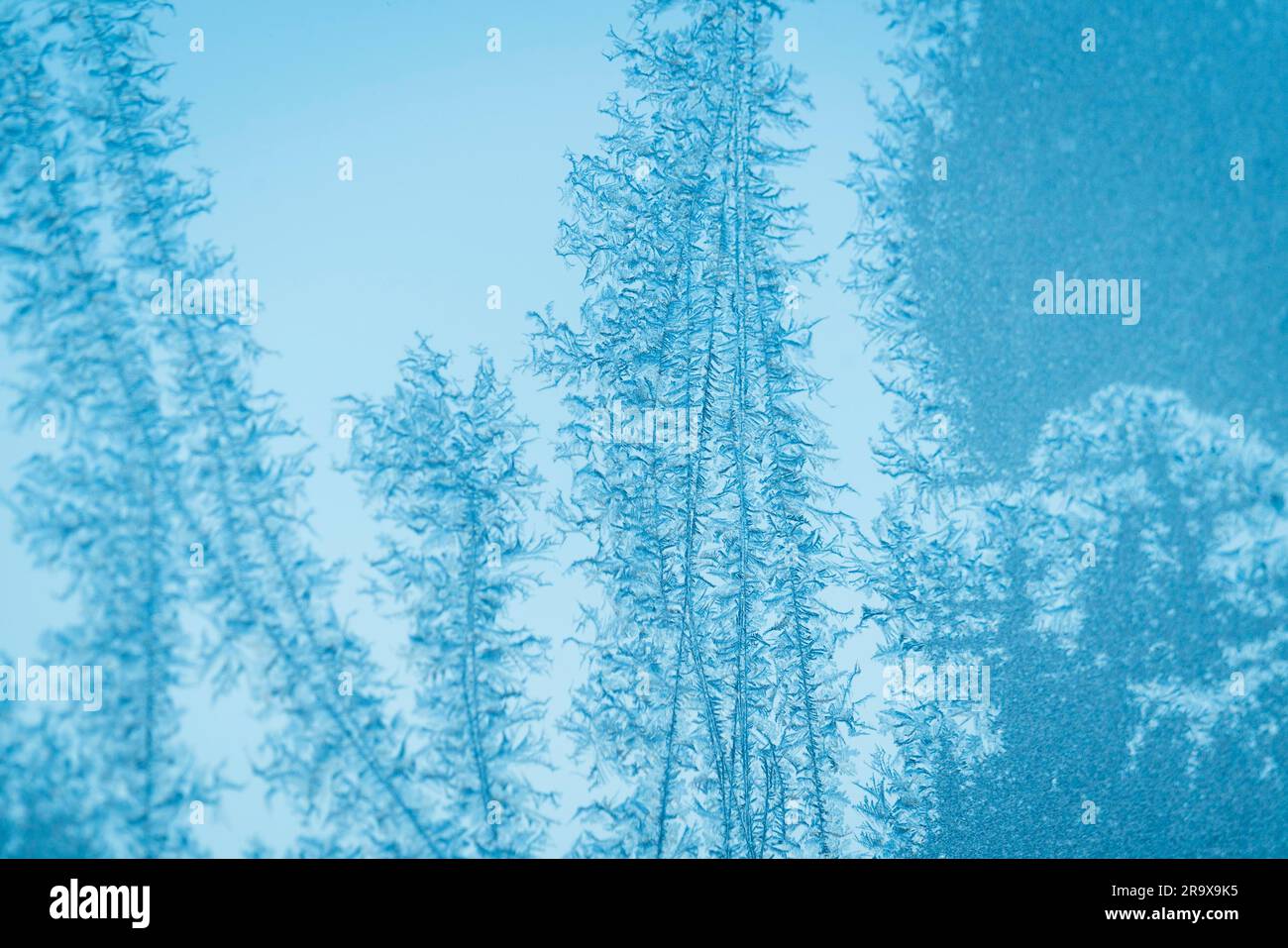 Frosty cyan blue window with snowflake patterns in the winter creating ...