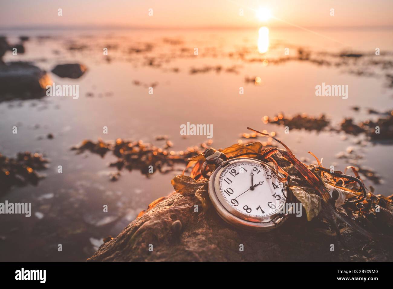 Antique pocket watch on a rock by the sea covered with seaweed in the ...