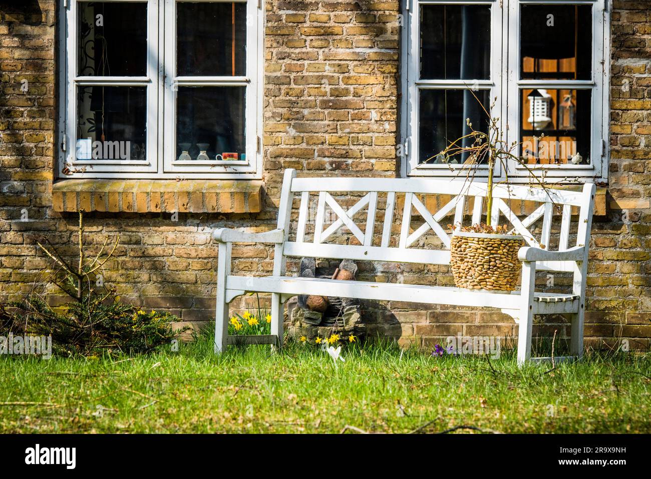 White bench outside an old brick house with daffodils blooming in the ...