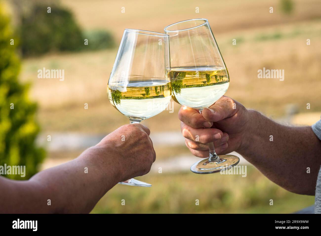 Cheers with white wine a garden with wine glasses reflecting beautiful ...