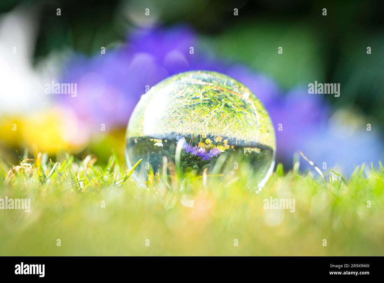 Large droplet hi-res stock photography and images - Alamy