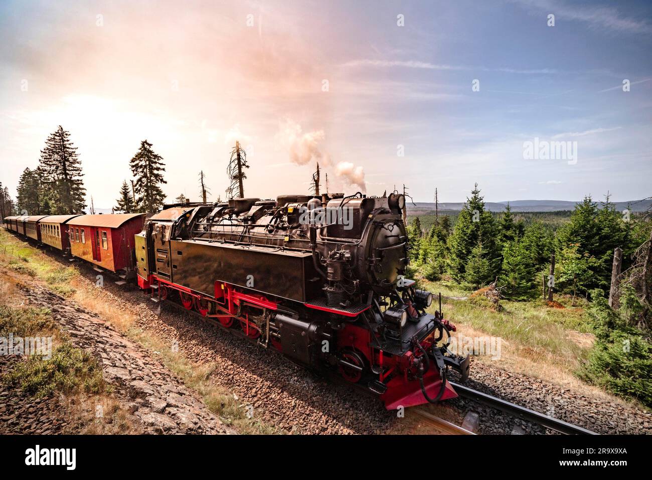 Steam locomotive driving through beautiful nature in the summer Stock ...