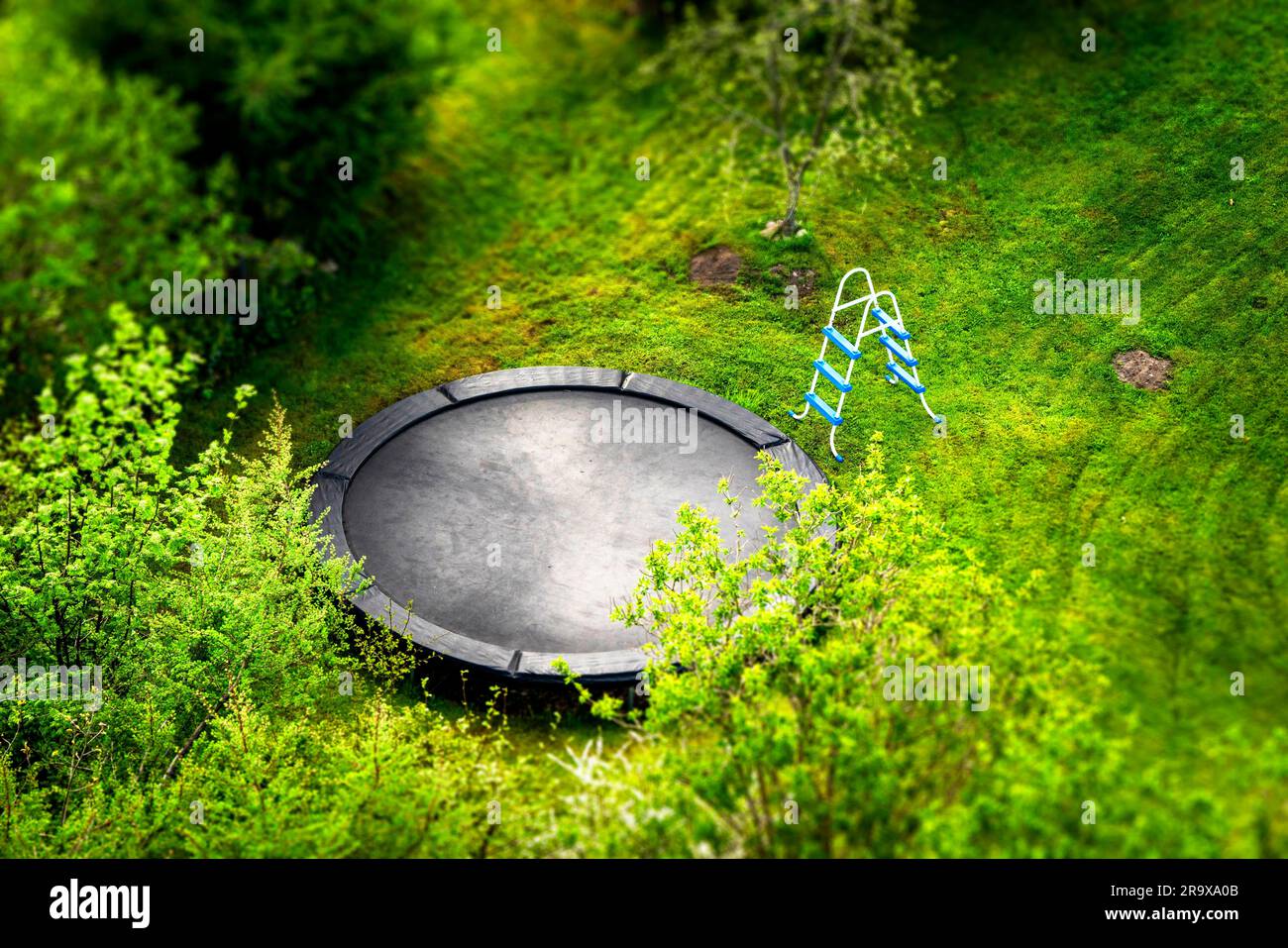 Large trampoline in a garden with a ladder surrounded by green trees ...