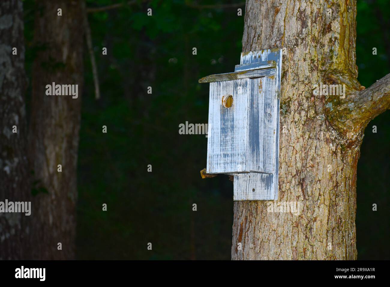 A blue and white, hand-crafted wooden blue bird house attached to an ...