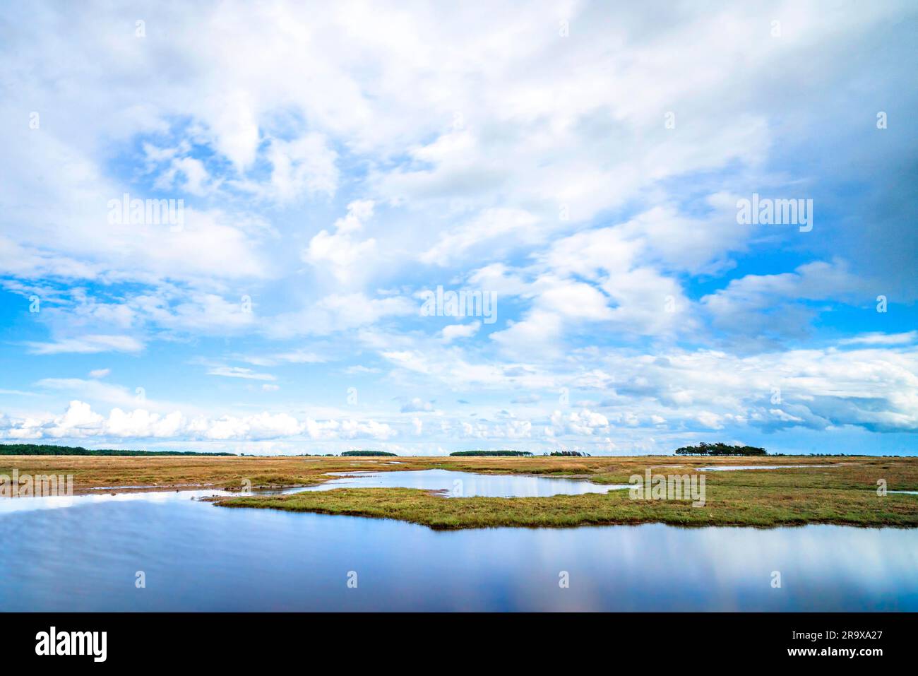 River landscape with dry plains under a blue sky in the summer Stock ...