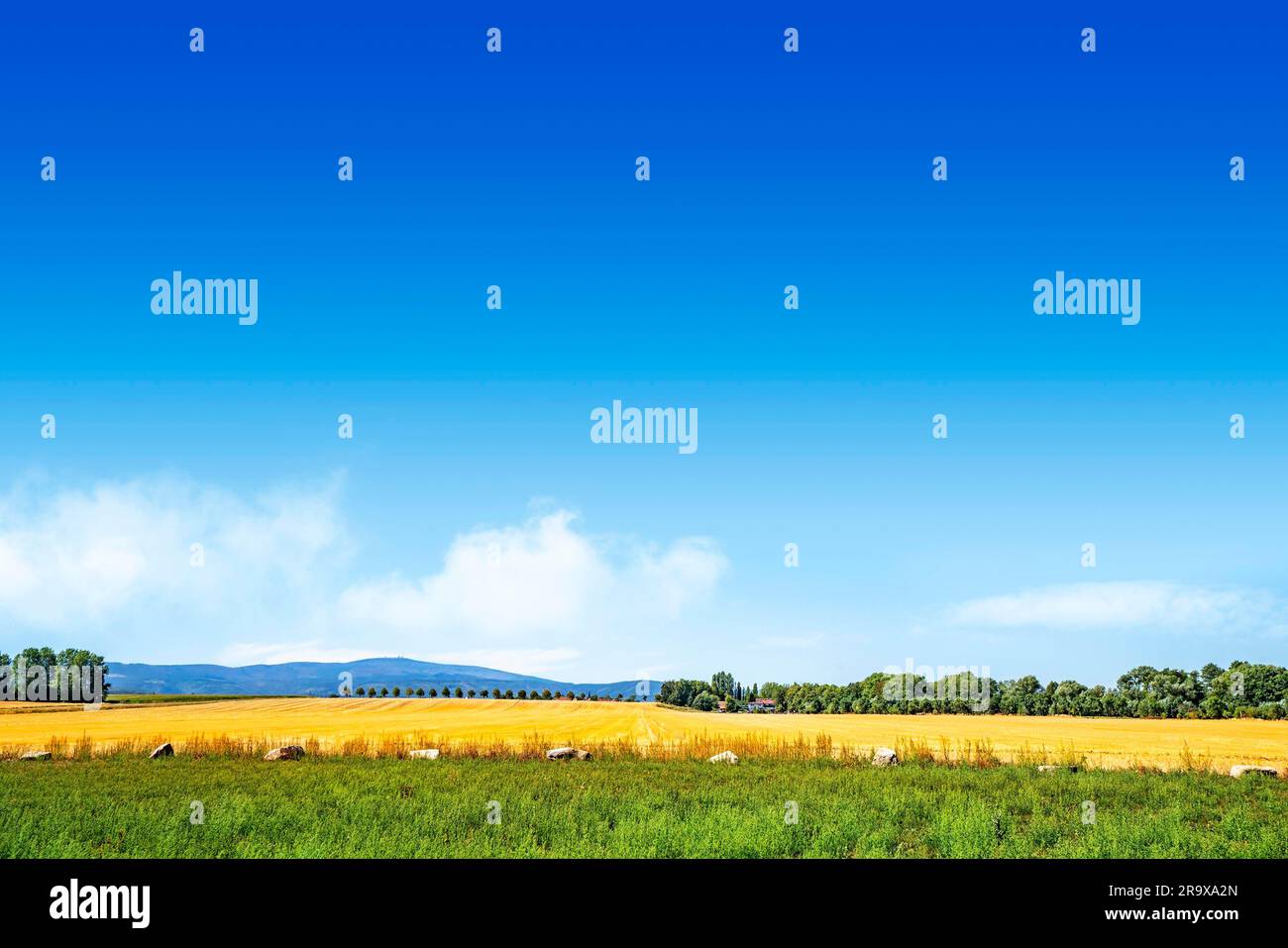 Colorful summer landscape mountain hi-res stock photography and images ...