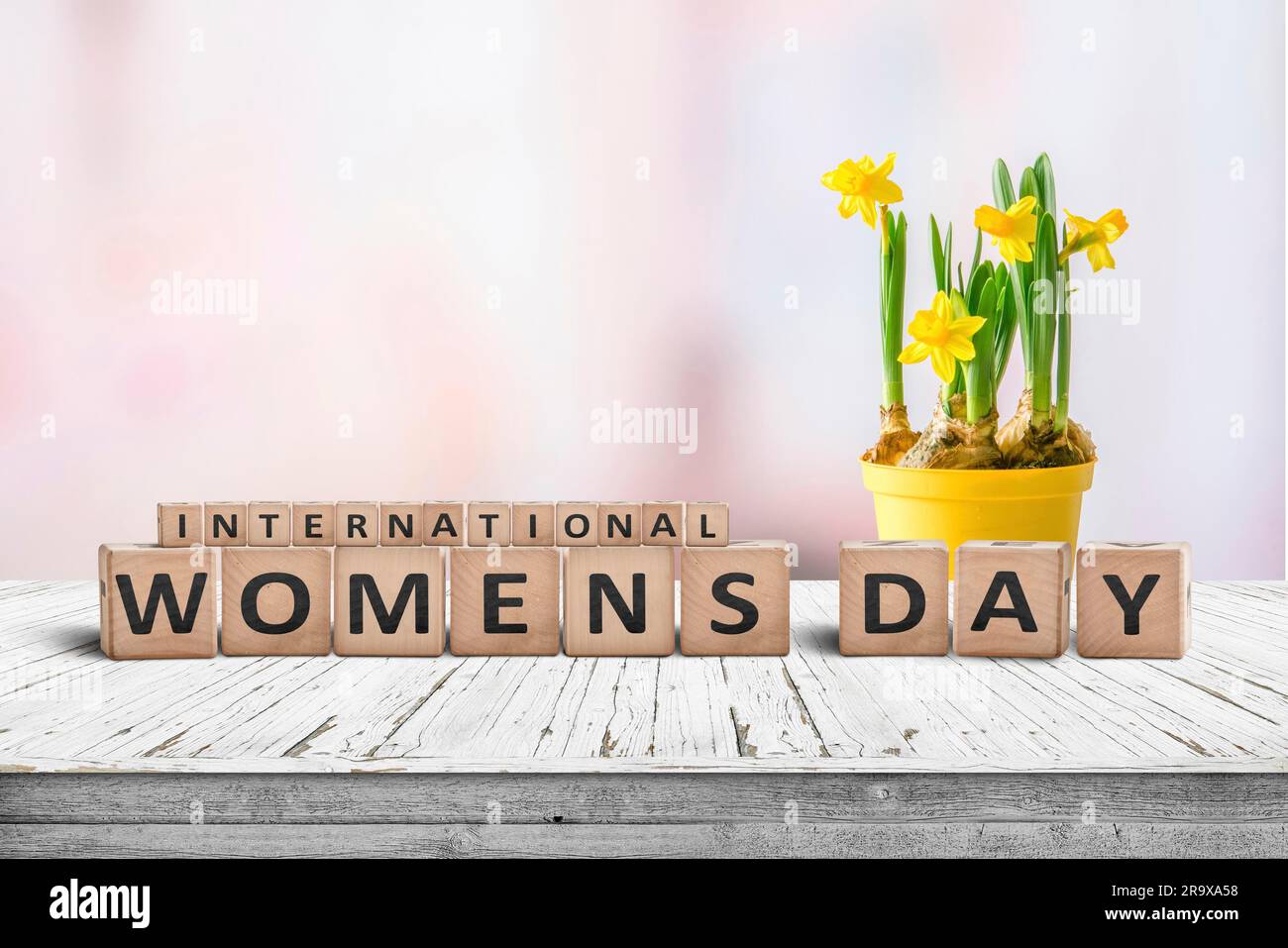 International Womens day sign with a yellow daffodil flower on a wooden ...