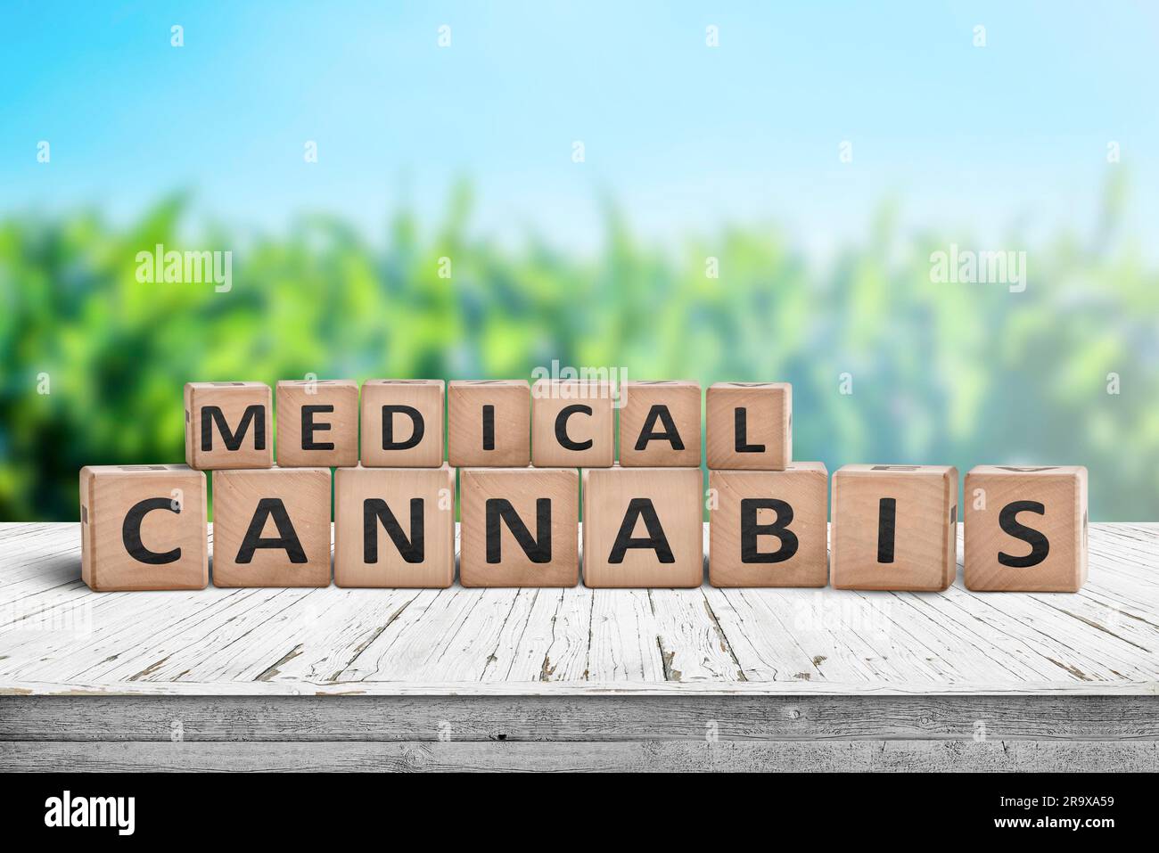 Medical Cannabis sign on a natural desk with a field of herbs in the ...