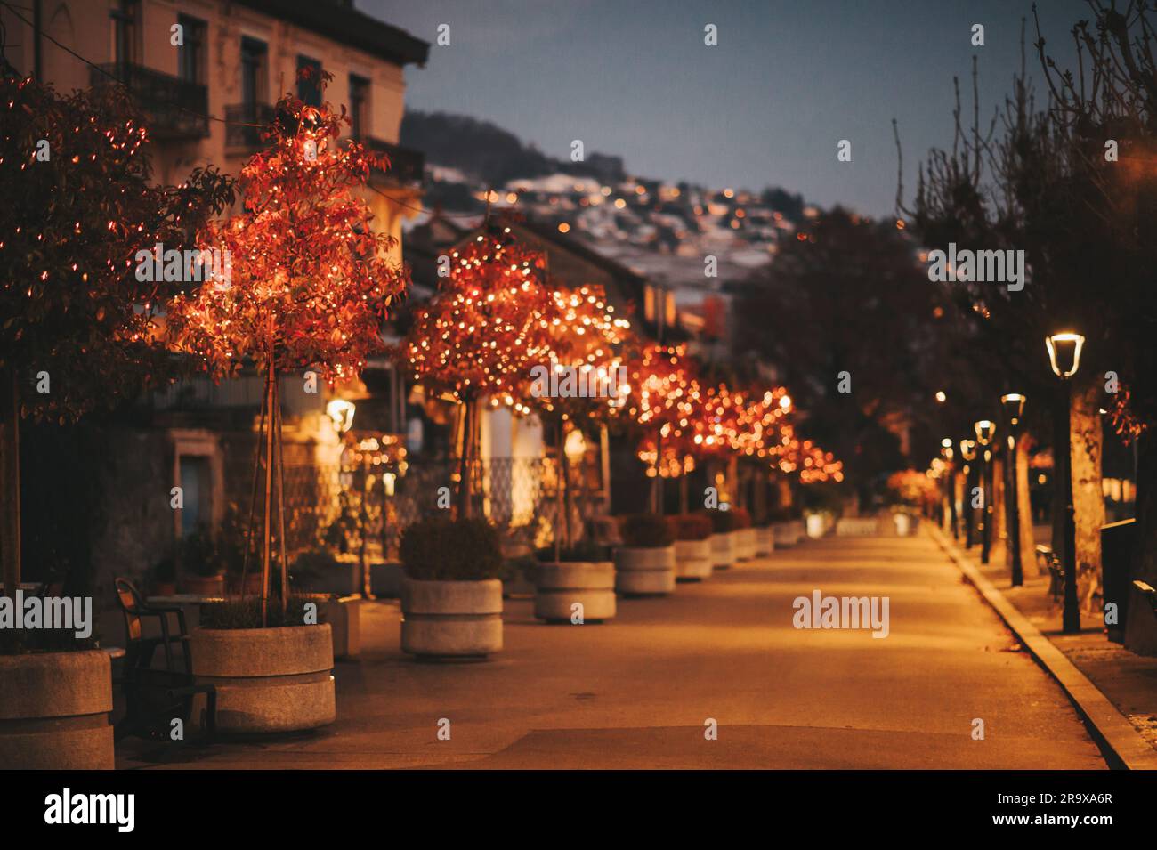 Night alley with Christmas lights on the trees Stock Photo - Alamy