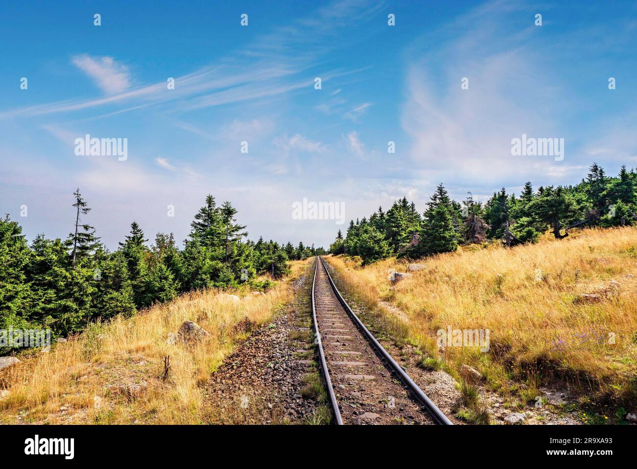 Prairie landscape with a railroad under a blue sky with green pine ...