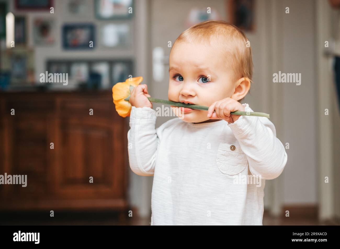 Portrait of adorable baby biting a flower Stock Photo - Alamy