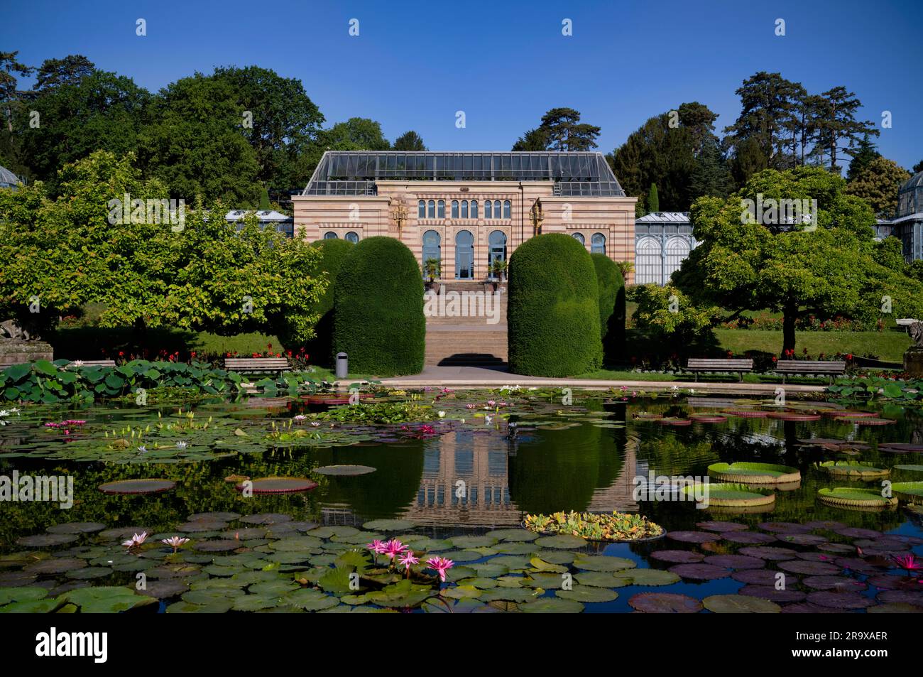 Water Lily Pond, Moorish Country House, Zoological-Botanical Garden ...
