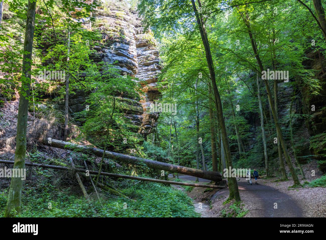 Painter's Path through Saxon Switzerland. Lohmen/Stadt Wehlen, Germany ...