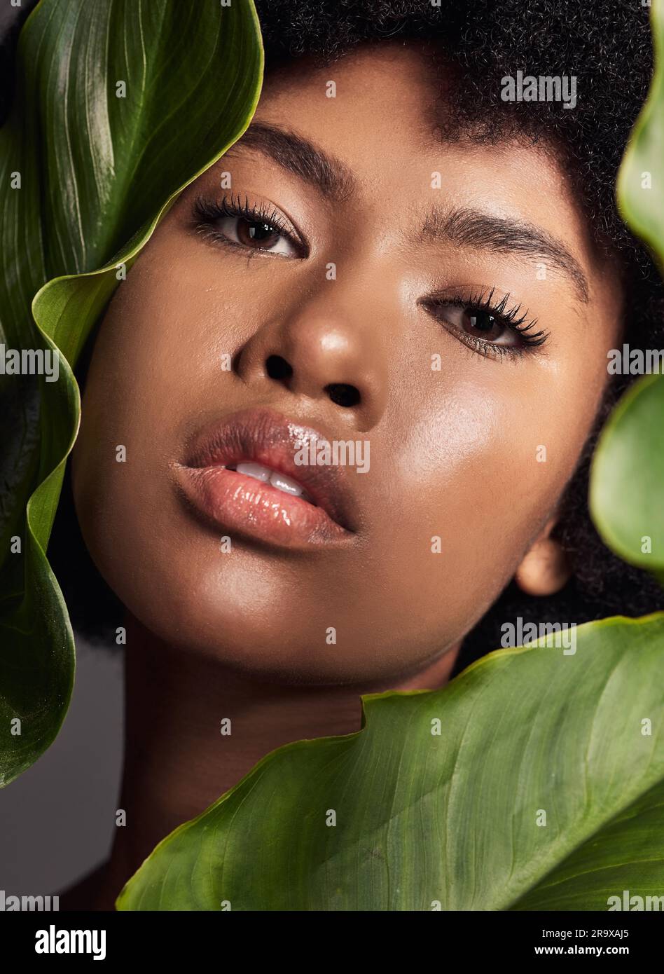 Face, black woman and leaves with natural beauty, nature and eco ...