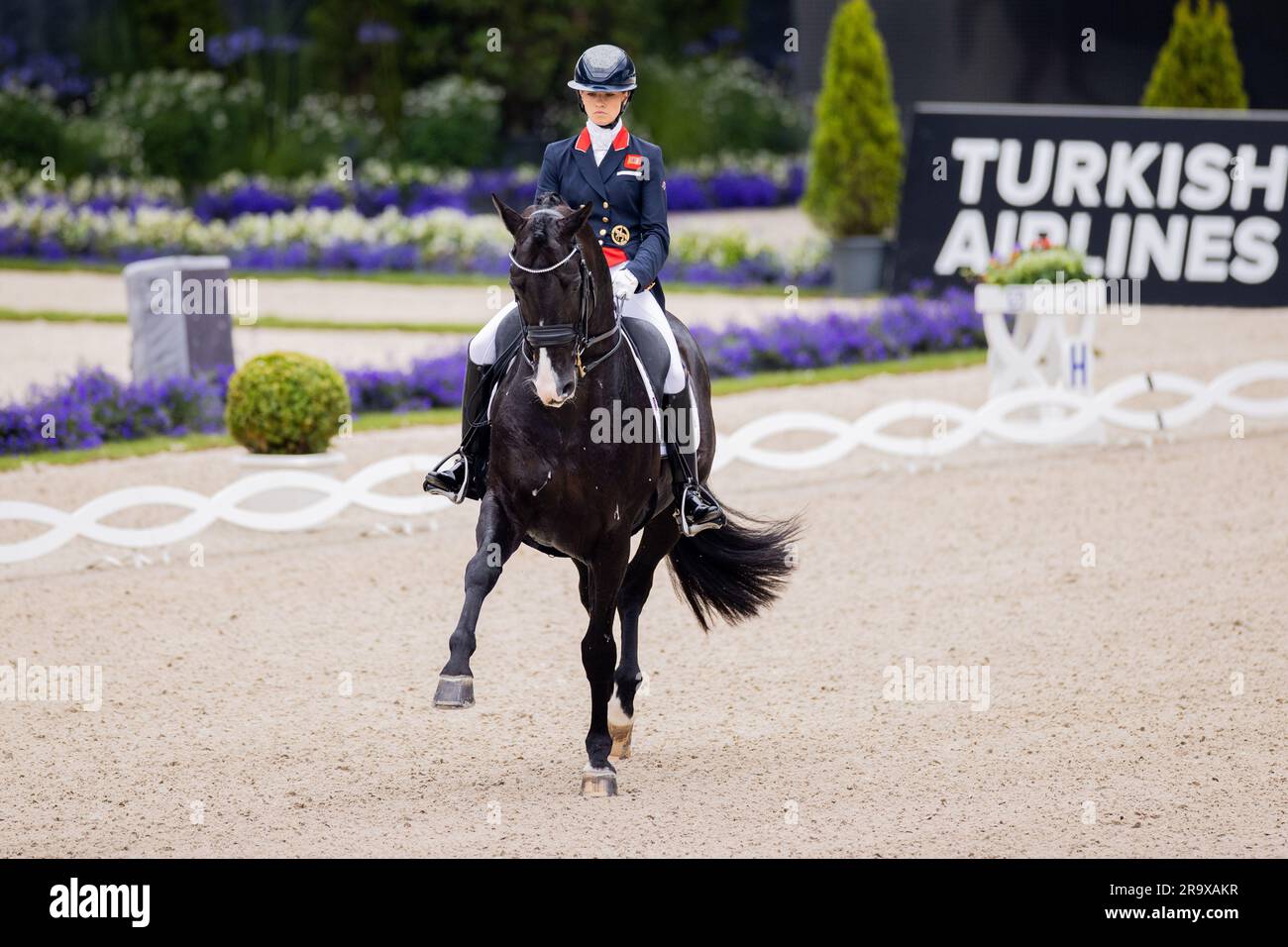 Everdale fry hi-res stock photography and images - Alamy